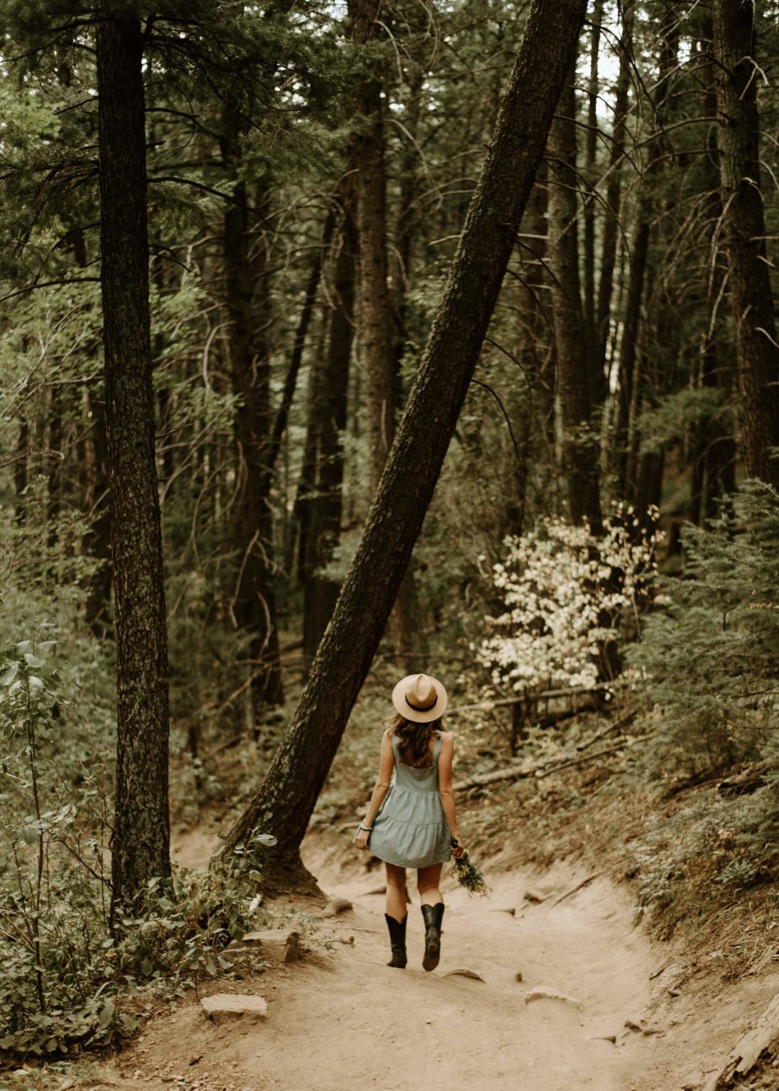 45 Slow Down Quotes To Enjoy Life And Relax - Green With Less