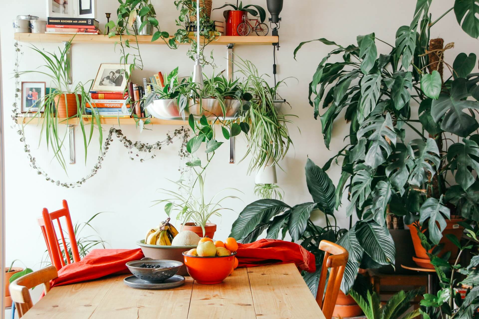 15 Common Things That Make Your House Look Cluttered - Green With Less